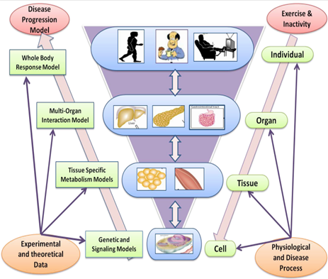 PhySioME Laboratory, Dr. Pramod Rajaram S., University of Hyderabad