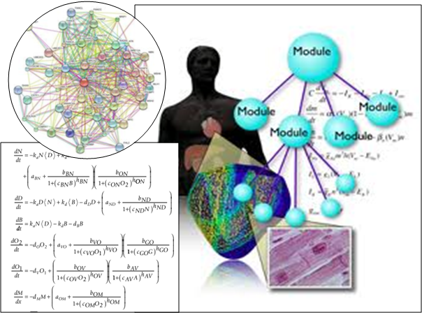 PhySiOME Laboratory, Dr. Pramod Rajaram S., University of Hyderabad