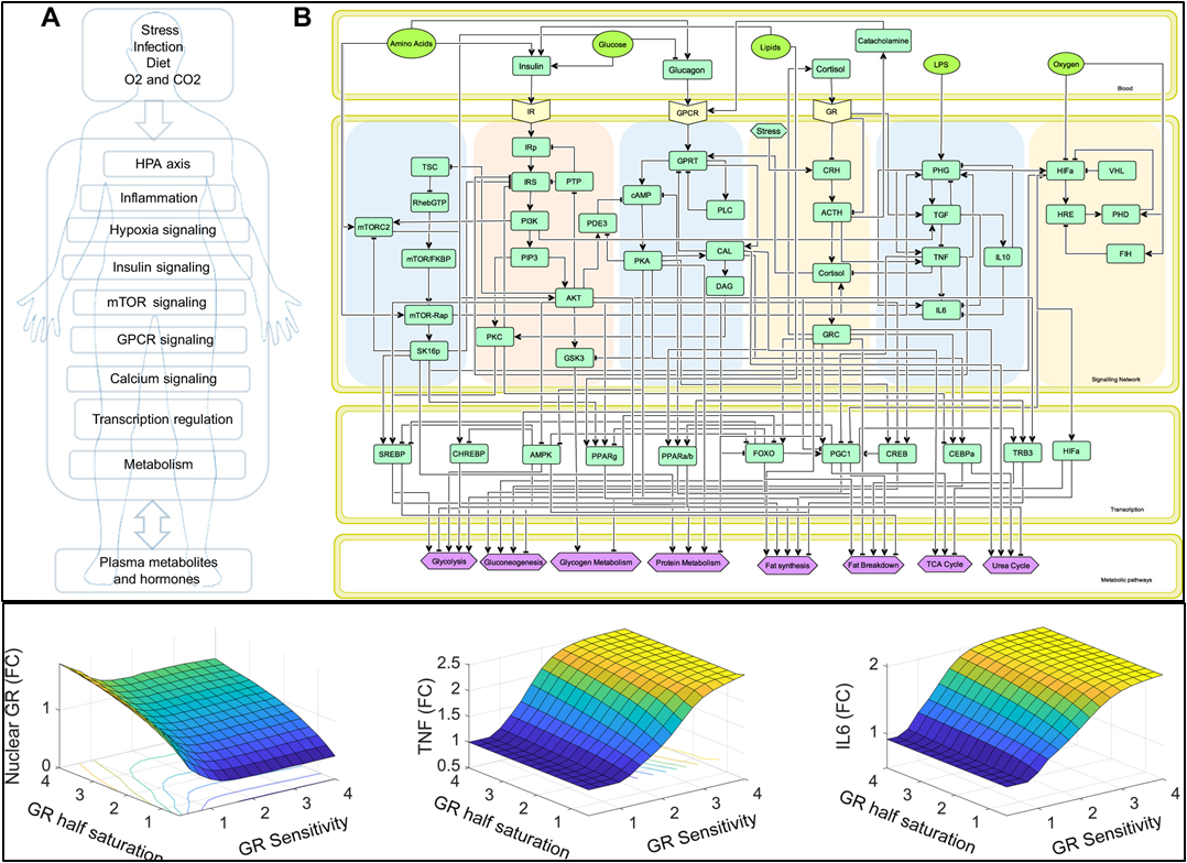 PhySiOME Laboratory, Dr. Pramod Rajaram S., University of Hyderabad